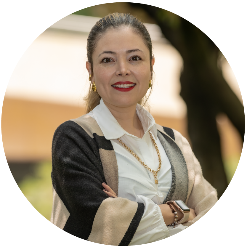 1.2 Estructura orgánica - organigrama | Secretaría Distrital de Gobierno